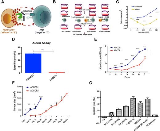 A Mechanism of Resistance to Antibody-Targeted Immune Attack | Cancer ...