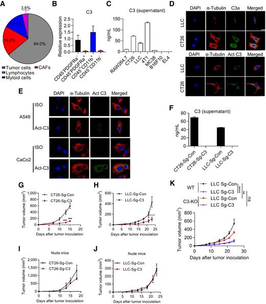 Intracellular Activation of Complement C3 Leads to PD-L1 Antibody ...