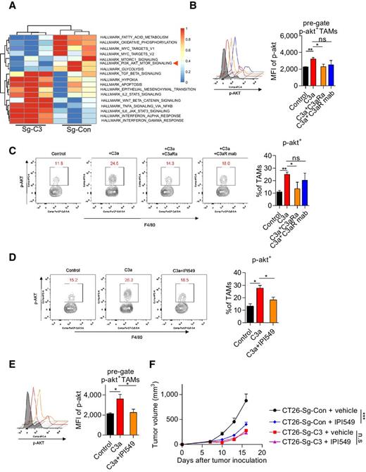 Intracellular Activation of Complement C3 Leads to PD-L1 Antibody ...