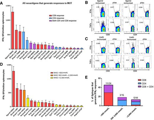 A Synthetic DNA, Multi-Neoantigen Vaccine Drives Predominately MHC ...
