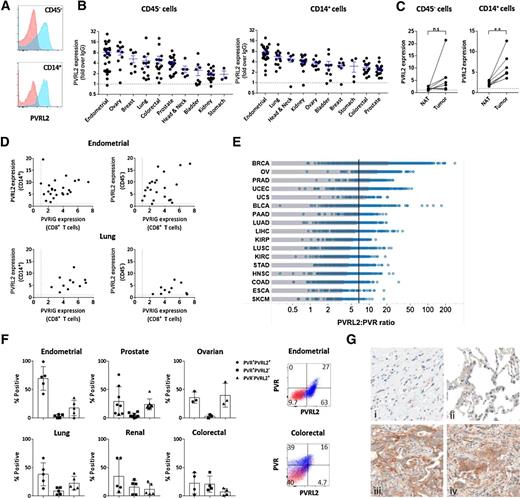 PVRIG and PVRL2 Are Induced in Cancer and Inhibit CD8+ T-cell Function ...