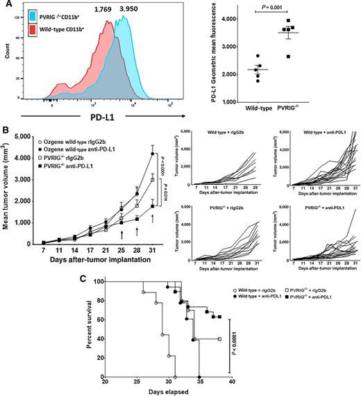 Mouse PVRIG Has CD8+ T Cell–Specific Coinhibitory Functions and Dampens ...