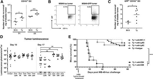 Intravesical Ty21a Vaccine Promotes Dendritic Cells and T Cell–Mediated ...