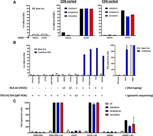 Immunologic Recognition of a Shared p53 Mutated Neoantigen in a Patient ...