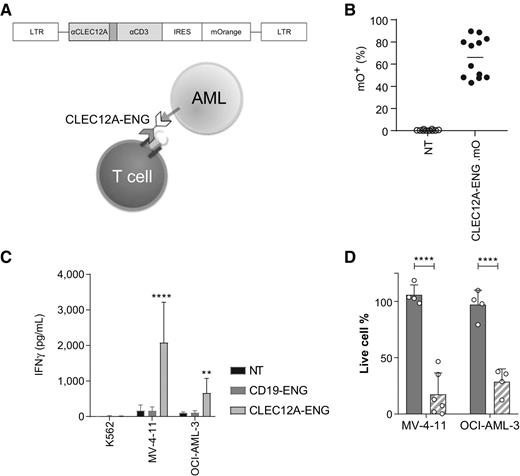 T-cell Activity against AML Improved by Dual-Targeted T Cells ...
