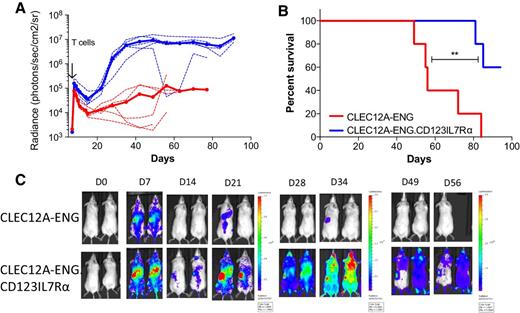 T-cell Activity against AML Improved by Dual-Targeted T Cells ...