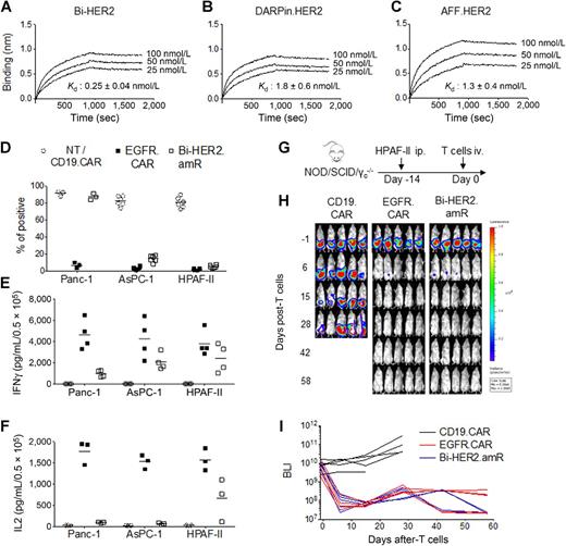 Cancer Immunotherapy with T Cells Carrying Bispecific Receptors That ...