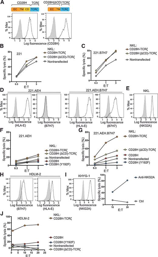 CD28 Homolog Is a Strong Activator of Natural Killer Cells for Lysis of ...