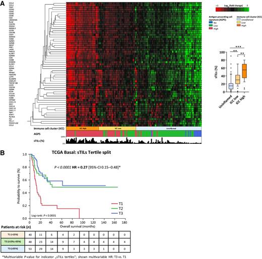 The Tumor Immune Microenvironment Drives a Prognostic Relevance That ...