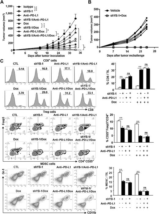 Targeting the YB-1/PD-L1 Axis to Enhance Chemotherapy and Antitumor ...