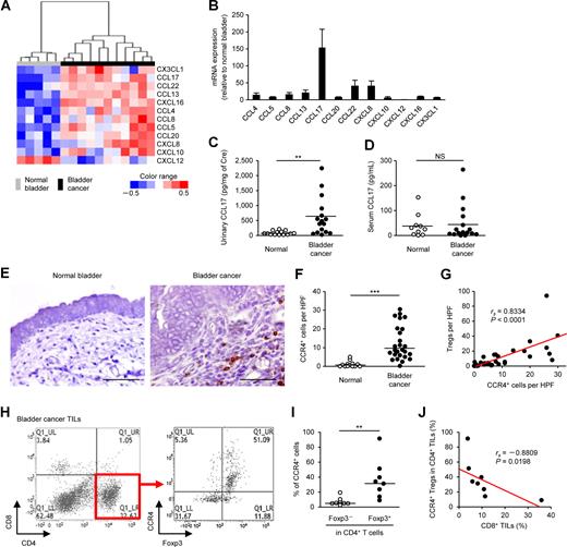 CCR4 Blockade Depletes Regulatory T Cells and Prolongs Survival in a ...