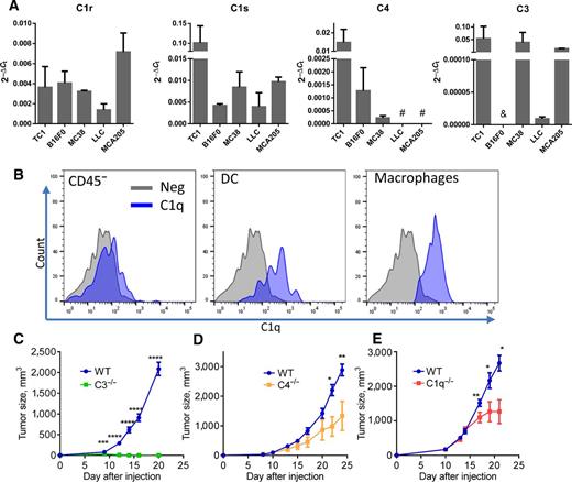 Tumor Cells Hijack Macrophage-Produced Complement C1q to Promote Tumor ...