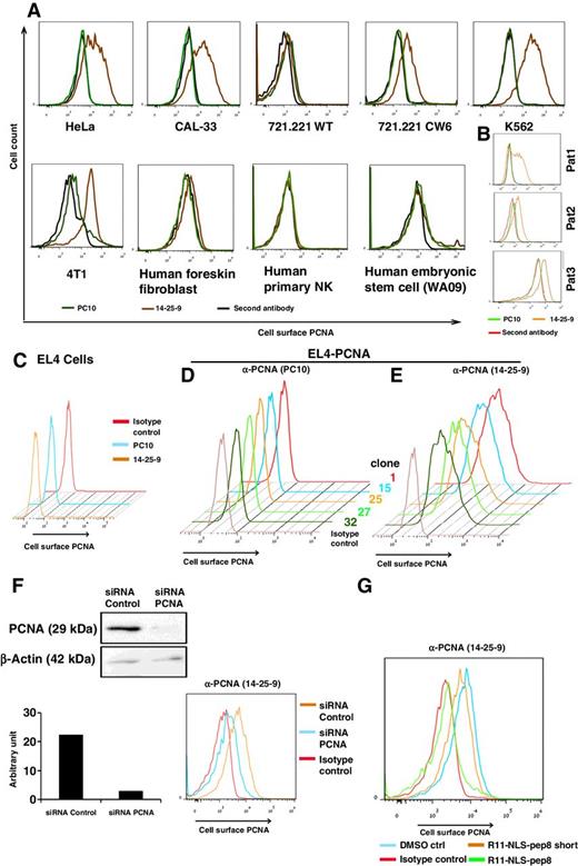 Inhibition of the NKp44-PCNA Immune Checkpoint Using a mAb to PCNA ...