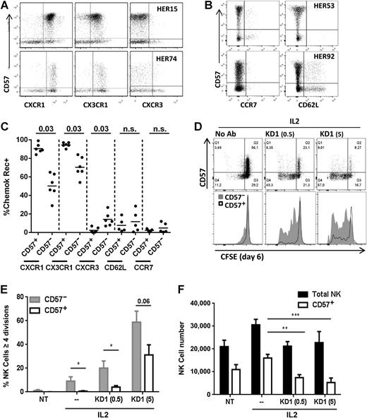 High Numbers of Circulating CD57+ NK Cells Associate with Resistance to ...