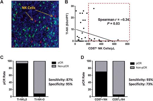 High Numbers of Circulating CD57+ NK Cells Associate with Resistance to ...