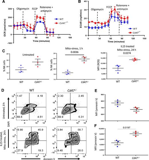 Natural Killer Cell Recruitment and Activation Are Regulated by CD47 ...