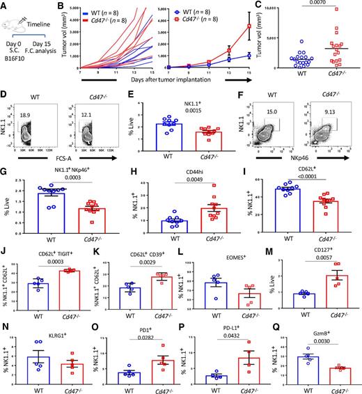 Natural Killer Cell Recruitment and Activation Are Regulated by CD47 ...