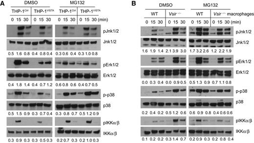 Immune-Checkpoint Protein VISTA Regulates Antitumor Immunity by ...