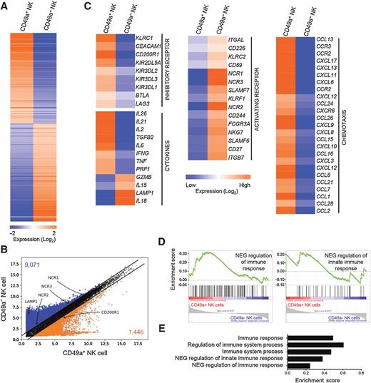 Accumulation of Tumor-Infiltrating CD49a+ NK Cells Correlates with Poor ...