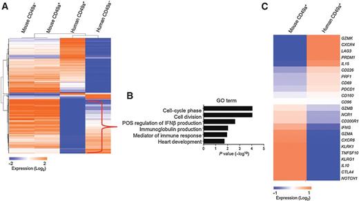 Accumulation of Tumor-Infiltrating CD49a+ NK Cells Correlates with Poor ...