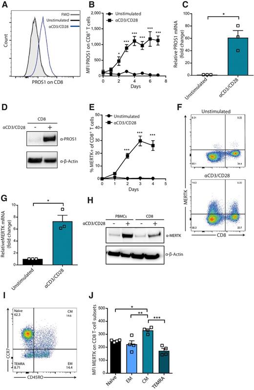 MERTK Acts as a Costimulatory Receptor on Human CD8+ T Cells | Cancer ...
