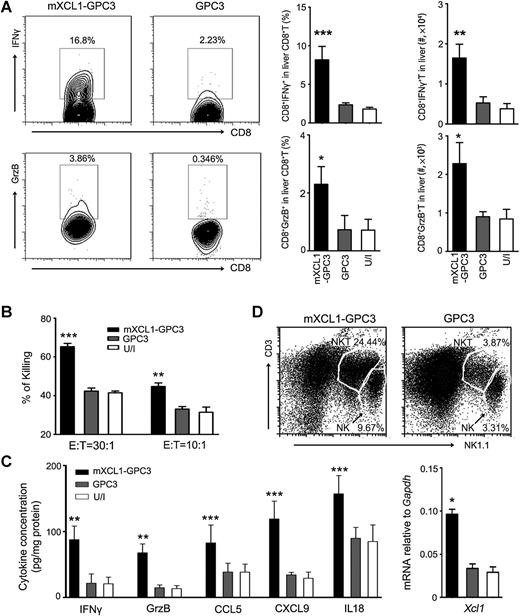 XCL1/Glypican-3 Fusion Gene Immunization Generates Potent Antitumor ...