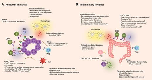 Understanding and Overcoming the Inflammatory Toxicities of ...
