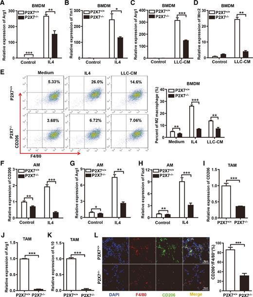 Blocking P2X7-Mediated Macrophage Polarization Overcomes Treatment ...