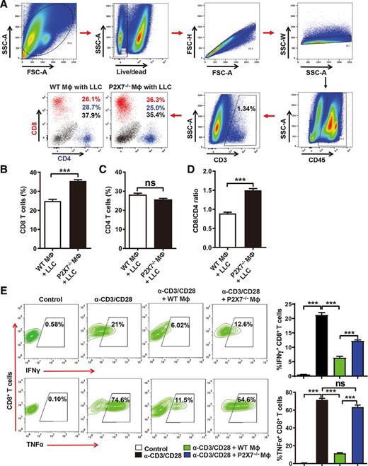 Blocking P2X7-Mediated Macrophage Polarization Overcomes Treatment ...
