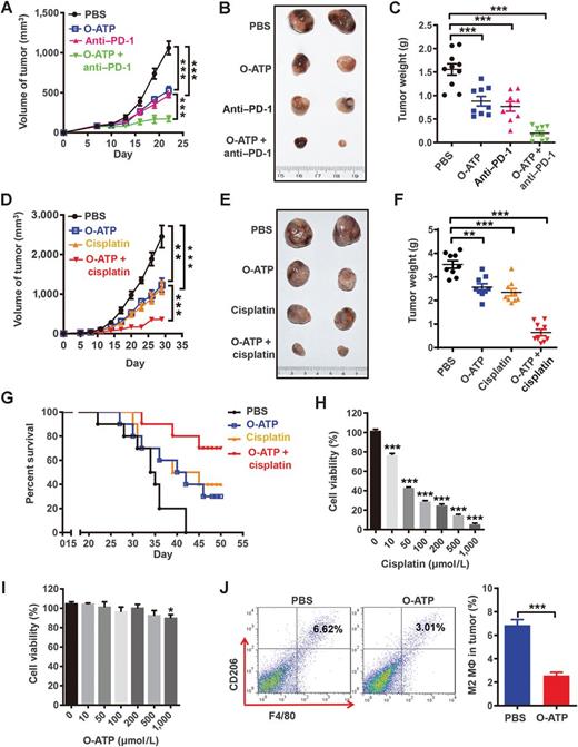 Blocking P2X7-Mediated Macrophage Polarization Overcomes Treatment ...