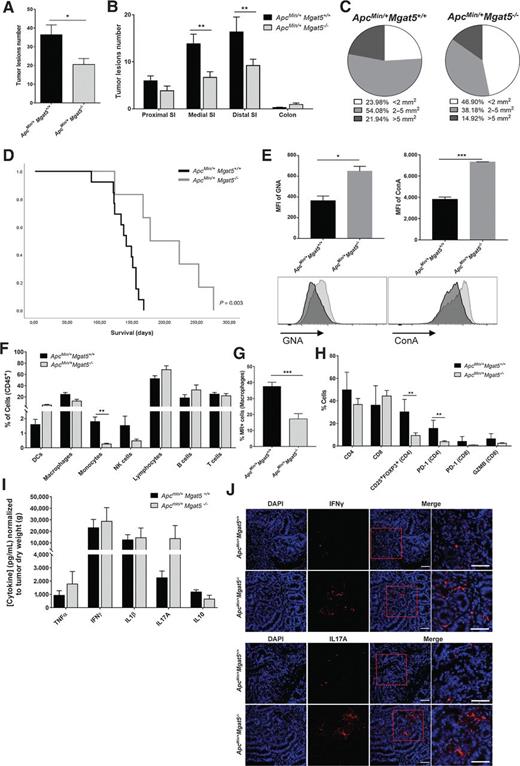 Glycans as Immune Checkpoints: Removal of Branched N-glycans Enhances ...