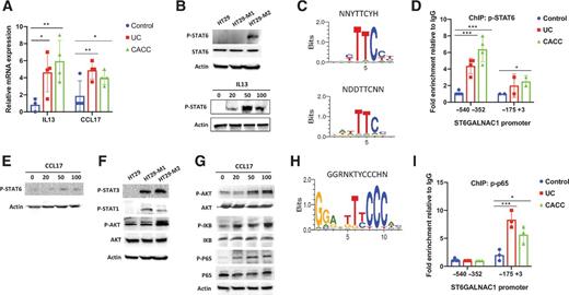 Cross-talk between Colon Cells and Macrophages Increases ST6GALNAC1 and ...