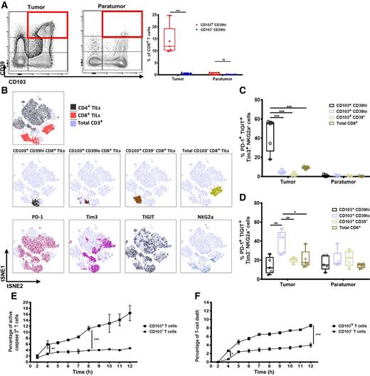 Self-Maintaining CD103+ Cancer-Specific T Cells Are Highly Energetic ...