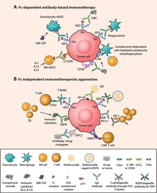 Immunotherapy of Pediatric Solid Tumors: Treatments at a Crossroads ...