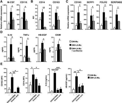 Lactic Acidosis Together with GM-CSF and M-CSF Induces Human ...