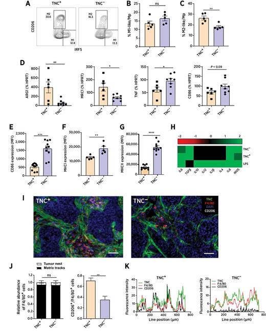 Matrix-Targeting Immunotherapy Controls Tumor Growth and Spread by ...