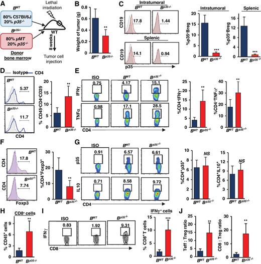 B cell–Derived IL35 Drives STAT3-Dependent CD8+ T-cell Exclusion in ...