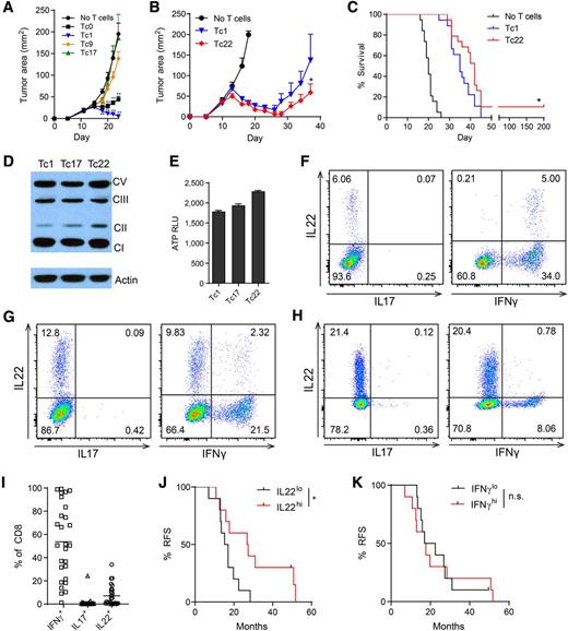 IL6 Induces an IL22+ CD8+ T-cell Subset with Potent Antitumor Function ...
