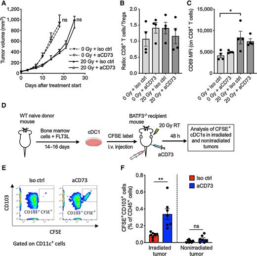 CD73 Blockade Promotes Dendritic Cell Infiltration of Irradiated Tumors ...