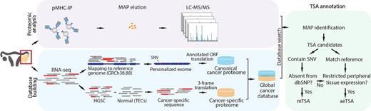 Proteogenomics Uncovers a Vast Repertoire of Shared Tumor-Specific ...