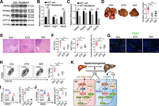 RIPK3 Orchestrates Fatty Acid Metabolism in Tumor-Associated ...