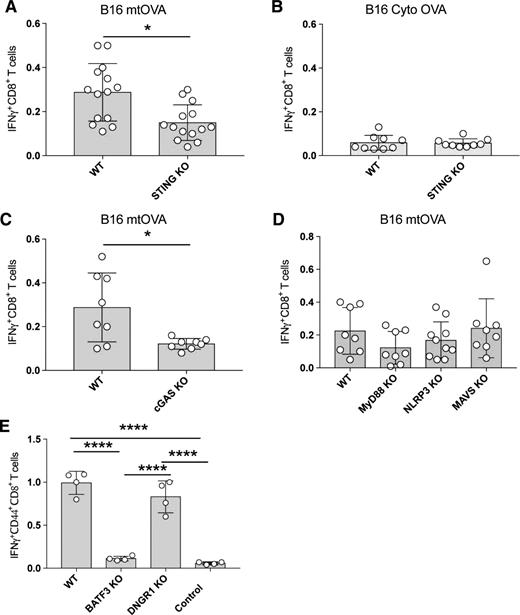 Enhanced Immunogenicity of Mitochondrial-Localized Proteins in Cancer ...