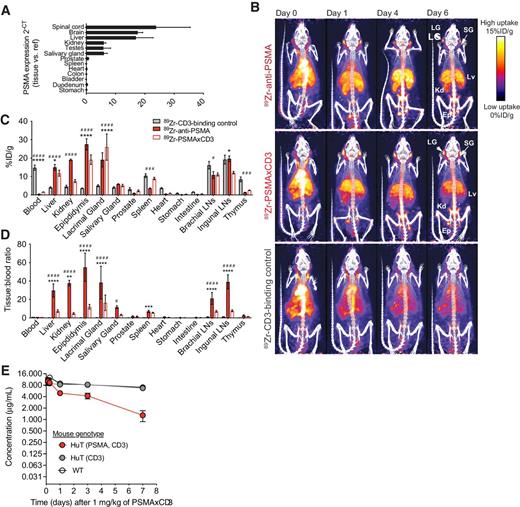A PSMA-Targeting CD3 Bispecific Antibody Induces Antitumor Responses ...