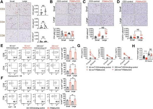 A PSMA-Targeting CD3 Bispecific Antibody Induces Antitumor Responses ...