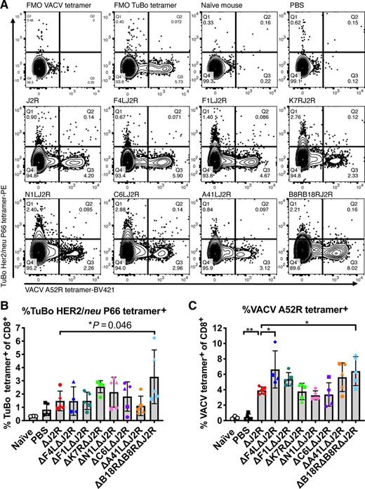 Deciphering the Immunomodulatory Capacity of Oncolytic Vaccinia Virus ...