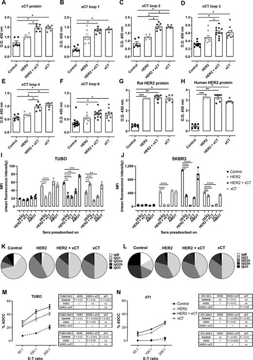 Immunotargeting of the xCT Cystine/Glutamate Antiporter Potentiates the ...