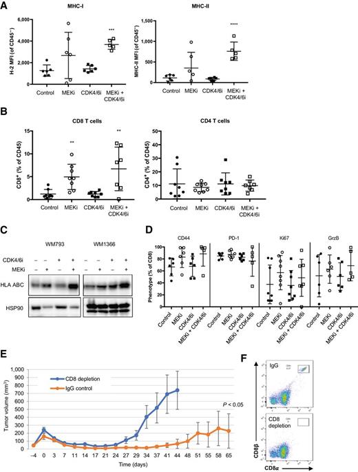 Activation of CD8+ T Cells Contributes to Antitumor Effects of CDK4/6 ...