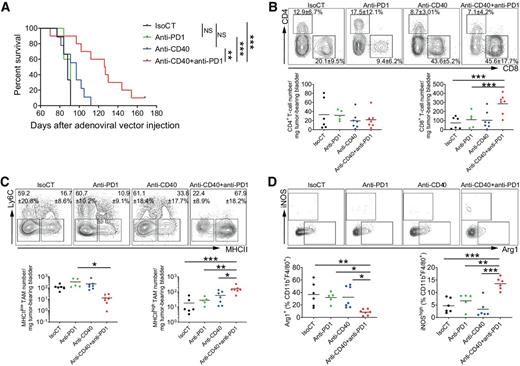 CD40 Agonist Restores the Antitumor Efficacy of Anti-PD1 Therapy in ...