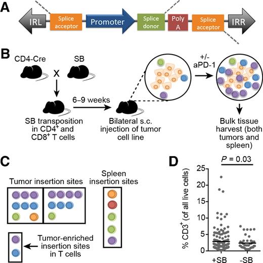 A Genetic Screen to Identify Gain- and Loss-of-Function Modifications ...