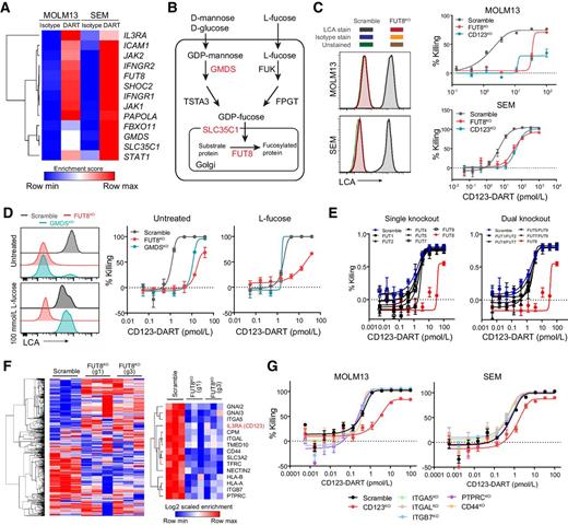 A CRISPR Screen Reveals Resistance Mechanisms to CD3-Bispecific ...